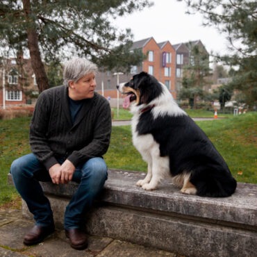 18 German Shepherd Eye Problems: Definition, Symptoms, and Treatment ...